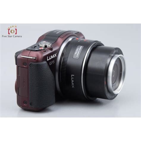 Lumix Panasonic Dmc Gf X Mm