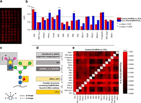 A A Typical Output Scan Read At 635 Nm From Lectin Microarray