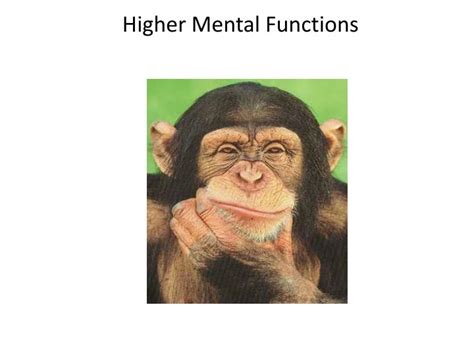 Ppt Higher Mental Functions Powerpoint Presentation Free Download Id6502595