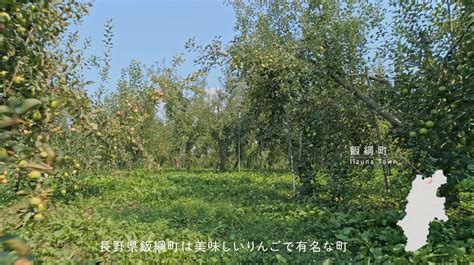 いいづな農産物pr業務 長野経済研究所