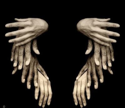 El Camino Del Entusiasta La Resistencia Del Colibr