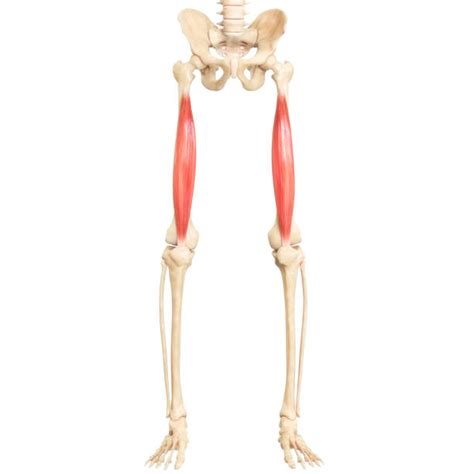 140 Vasto Intermedio Foto Stock Immagini E Fotografie Royalty Free Istock