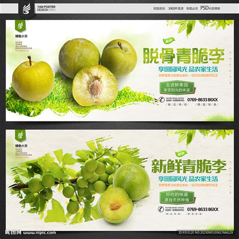 青脆李设计图 海报设计 广告设计 设计图库 昵图网nipic
