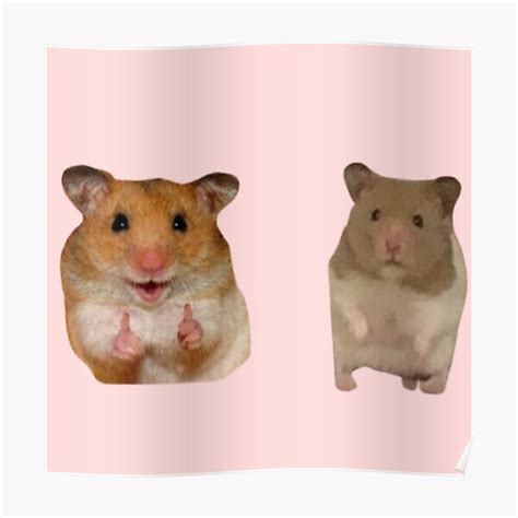 Peace Sign And Screaming Hamster Meme Poster For Sale By Redakhatib