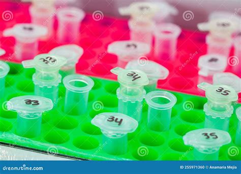 Rack Of Test Tubes Being Used For Dna Extraction Using The Spin Column Based Nucleic Acid