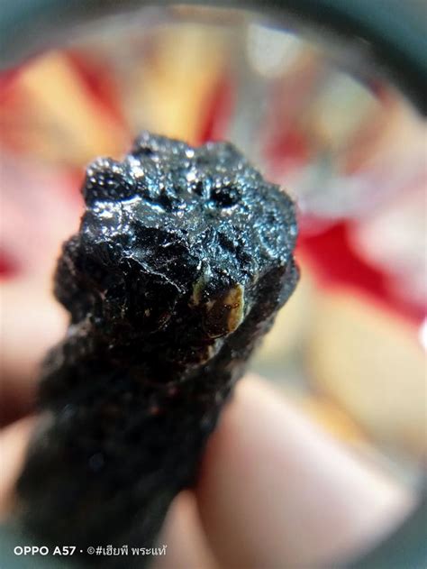 ตะกรุดโทน ปลอดภัย แคล้วคลาด คงกระพัน มหาอุต หลวงปู่แผ้ว ปวโร วัดกำแพงแสน ปี 50 ถักเชือก ลงรัก