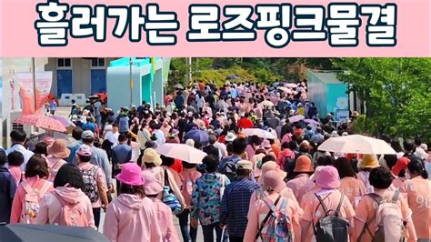 하염없이 내려가는 이찬원팬덤 하동녹차 이색풍경 Youtube