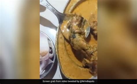 Ludhiana Man Posts Video Of Dead Rat In Restaurant Food Internet Shocked