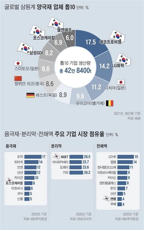전기차 배터리 시장 현황 양극재 음극재 분리막전해액 한국업체 점유율 네이버 블로그