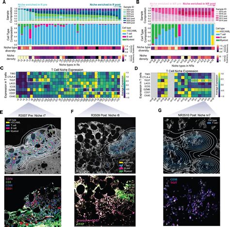 1232 Decoding The Immunologic Networks Of The Aml Marrow