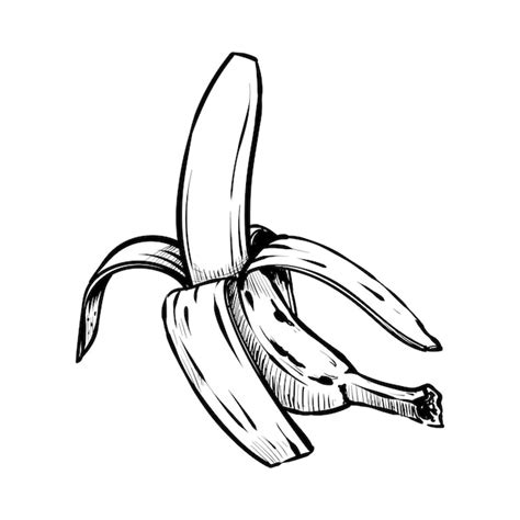 Banana Outline Drawing