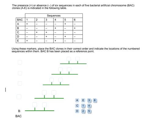 Solved The Presence Or Absence Of Six Sequences In