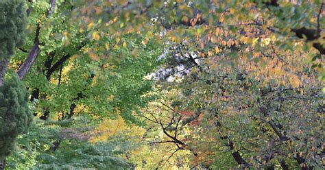 포토 가을엔 덕수궁