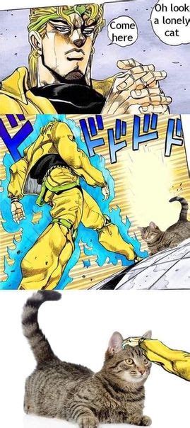 ﻿come Jiere Дио и жизненные коллизии котэ прикольные картинки с кошками смешные