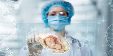 Human Embryo Created Without Using Sperm Or Eggs Indy100