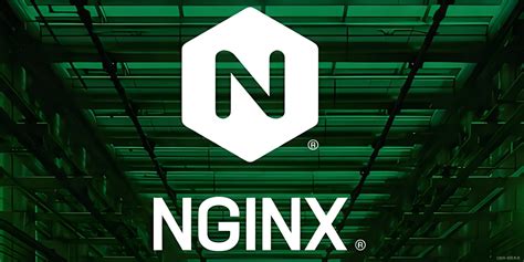 轻松实现nginx的与websocket转发：你的网站需要这个nginx Websocket Csdn博客