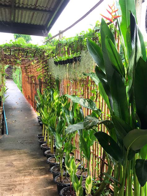 รวม 50 ไอเดีย การจัดสวนสวย ด้วยวัสดุเหลือใช้ในบ้าน