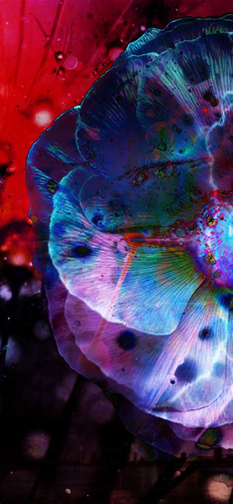 Dead Leaf Background By Dirkozz On Deviantart