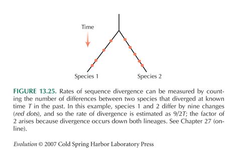 Evolution Figures Chapter 13