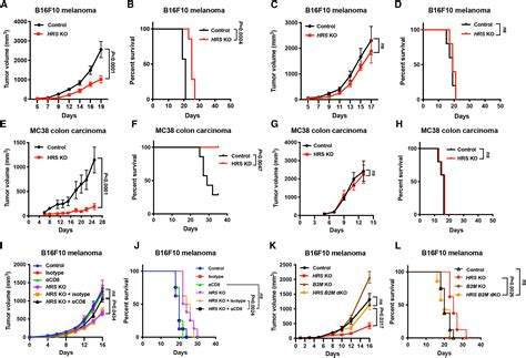 Hrs Mediates Tumor Immune Evasion By Regulating Proteostasis Associated