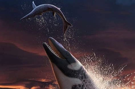 Fossils Of Terrifying Monster Sea Lizard Found In Morocco