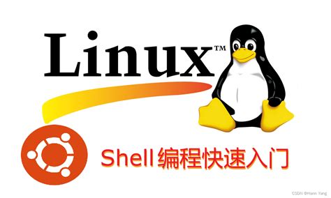 Shell 编程快速入门 之 字符串 Csdn博客