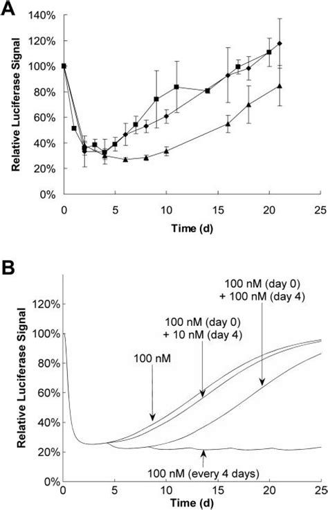 Effect Of Sirna Dose Frequency On The Duration Of Luciferase Knockdown