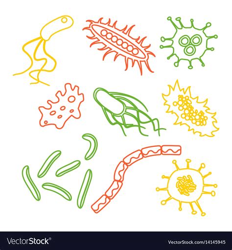 Different Bacteria Types Royalty Free Vector Image