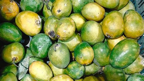 Maango Rasila Aur Delicious 😋 Aam 🥭🥭😋🥨 Youtube