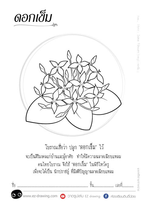 Draw Red Ixora Flowers ♥ วาดรูป ดอกเข็ม แดง ★ How To Draw Flowers