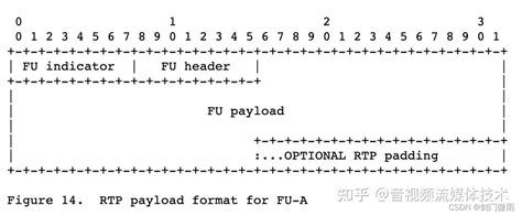 Rtp协议封装h264h265aac 知乎