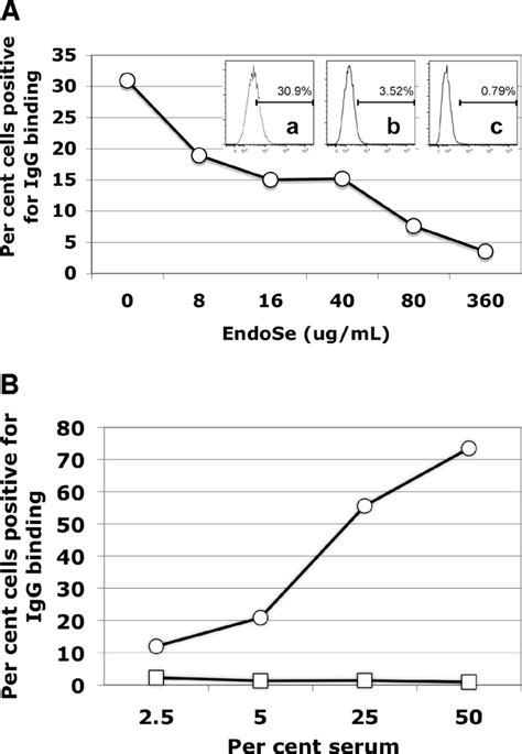 Antiphagocytic Function Of An Igg Glycosyl Hydrolase From Streptococcus Equi Subsp Equi And Its