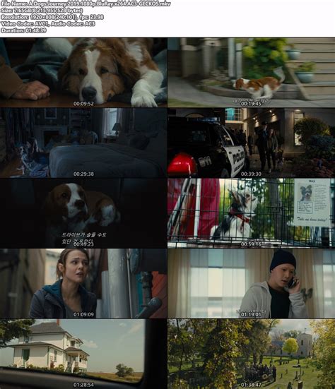 Geckos 안녕 베일리 1080p 조시 게드 데니스 퀘이드 캐서린 프레스콧 저장 파일썬