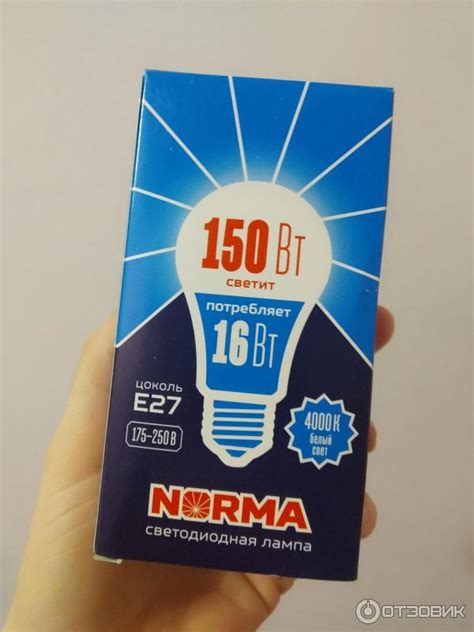 Volpe Norma