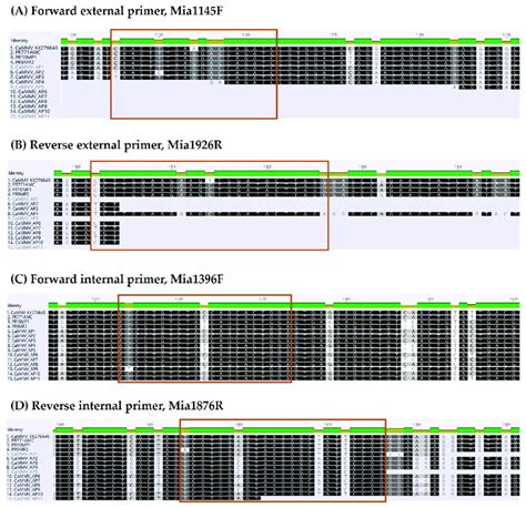 Alignment Of Partial Sequences Of The Movement Protein Coat Protein Download Scientific Diagram