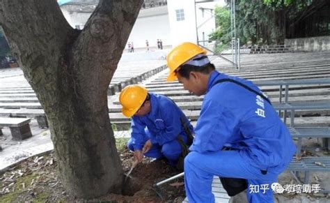 有害生物防治员证怎么报考办理流程是什么条件介绍一下 知乎