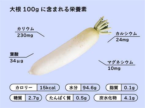 大根の栄養と効能｜加熱と生で変化ある？効果的な食べ合わせは？ Fily