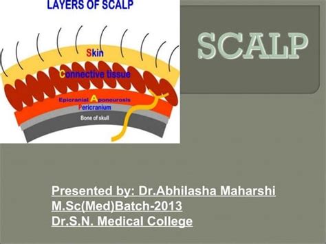 Scalp Ppt