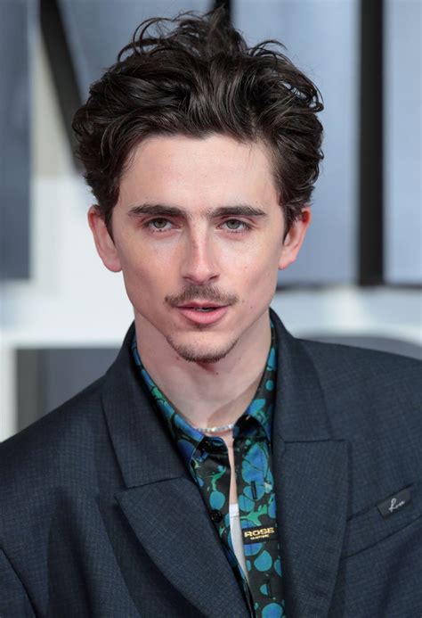 January 14 A Complete Unknown Uk Premiere Tcf 233 Timothée