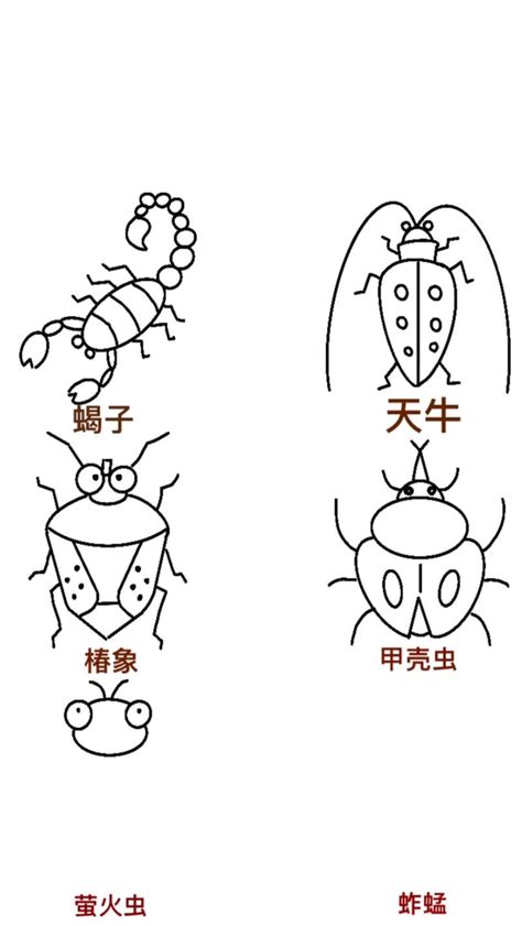昆虫大全图片及名称简笔画简单（汇总13张） 简笔画图片大全