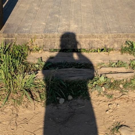 看完兩天的台韓交流賽 其實輸贏真的不是重點 什麼靶子隊的就很妙 樂天巨人單純就是春訓一個階段 開始打交流賽了 只是剛好中職邀請 就上來大巨蛋跟