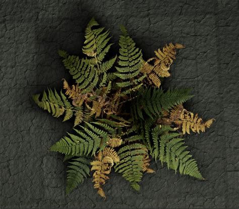 Optimization For Roblox Environments Community Resources Developer Forum Roblox