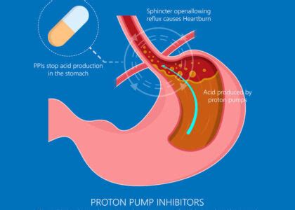 Proton Pump Inhibitors Mechanism Of Action FMIBlog
