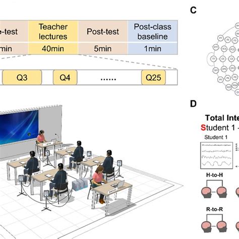 Experimental Procedure Setup And Rationale A Experimental Download Scientific Diagram