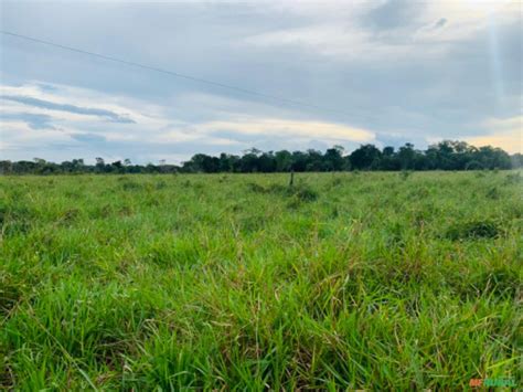 Fazenda À Venda as Margens do Rio Araguaia Sul do Pará em 608384