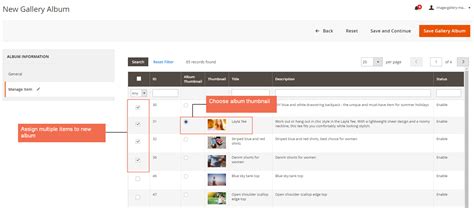 Magento 2 Image Gallery Extension Addupload Video And Image