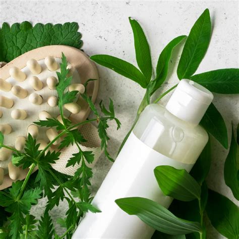 Piroctone Olamine Ecsa Chemicals