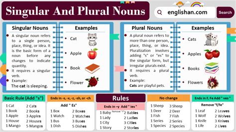 Singular And Plural Nouns With Rules And Examples • Englishan