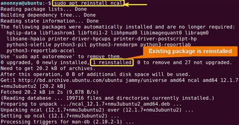 The Apt” Command In Linux 13 Practical Examples