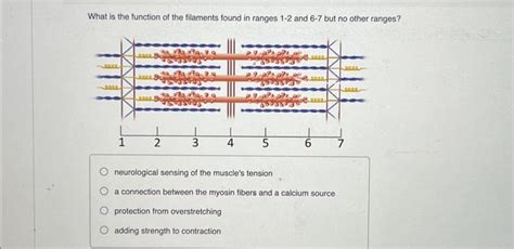 Solved The Smallest Contractile Unit Within Skeletal Muscle